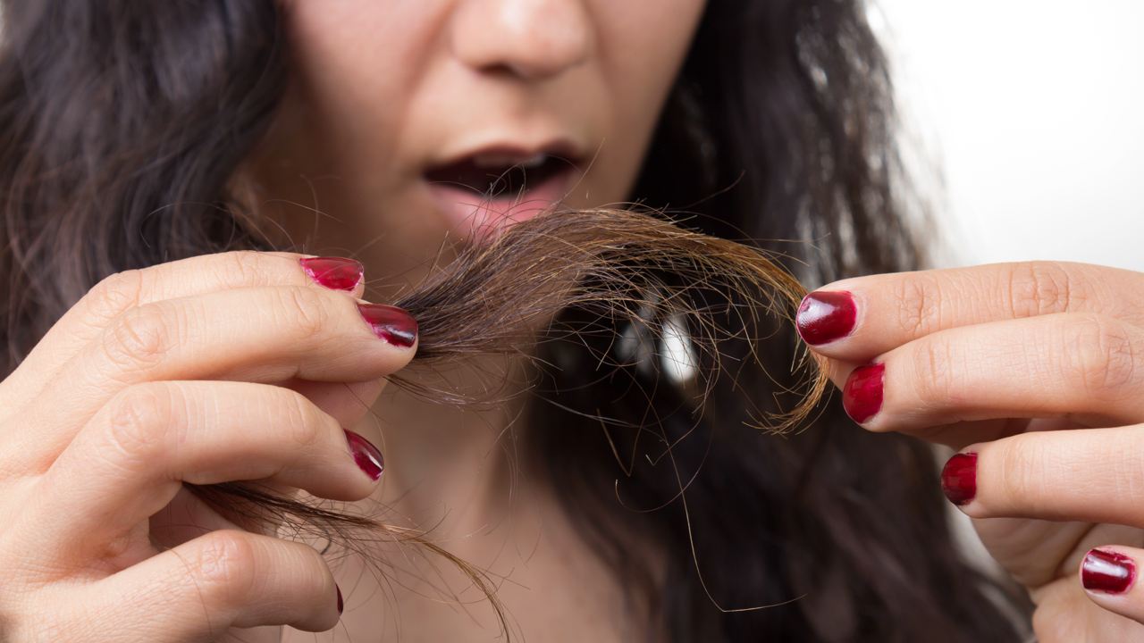 Beautician tips to shroud hair split ends until salons resume - and ...
